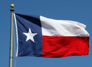 Texas Political Party Percentages Breakdown